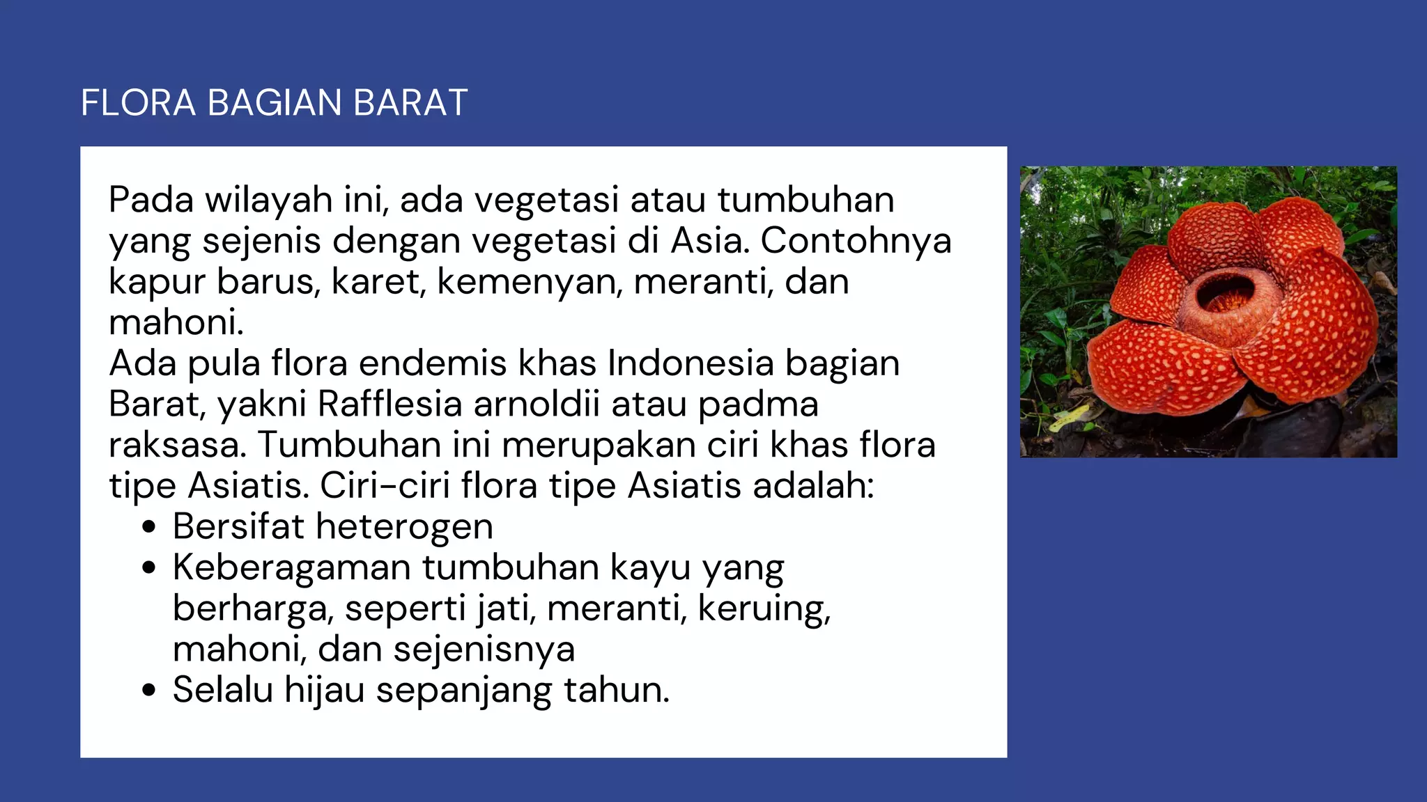 PPT Persebaran Flora dan Fauna.pdf
