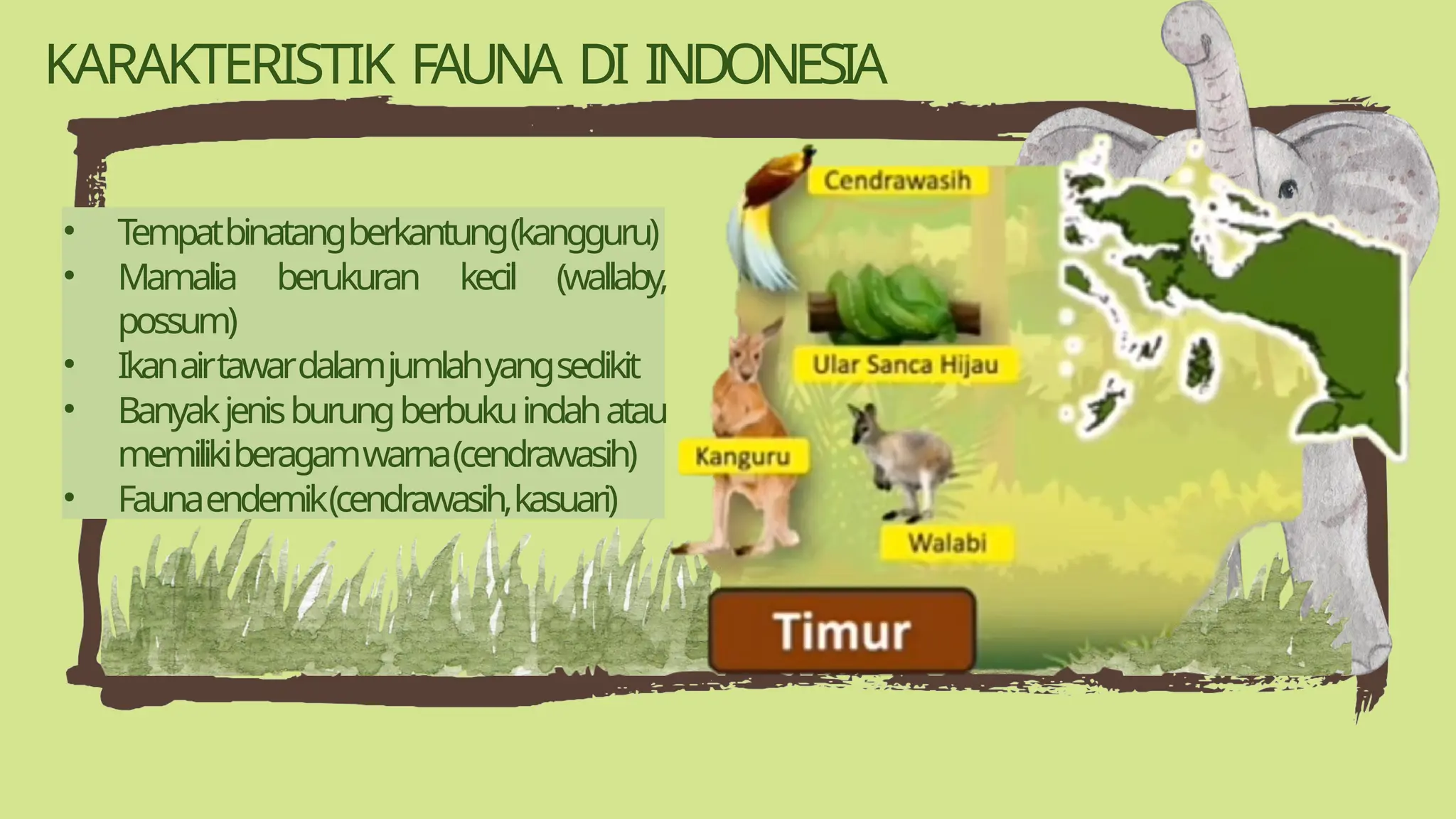 PPT Persebaran Flora dan Fauna Indo.pptx