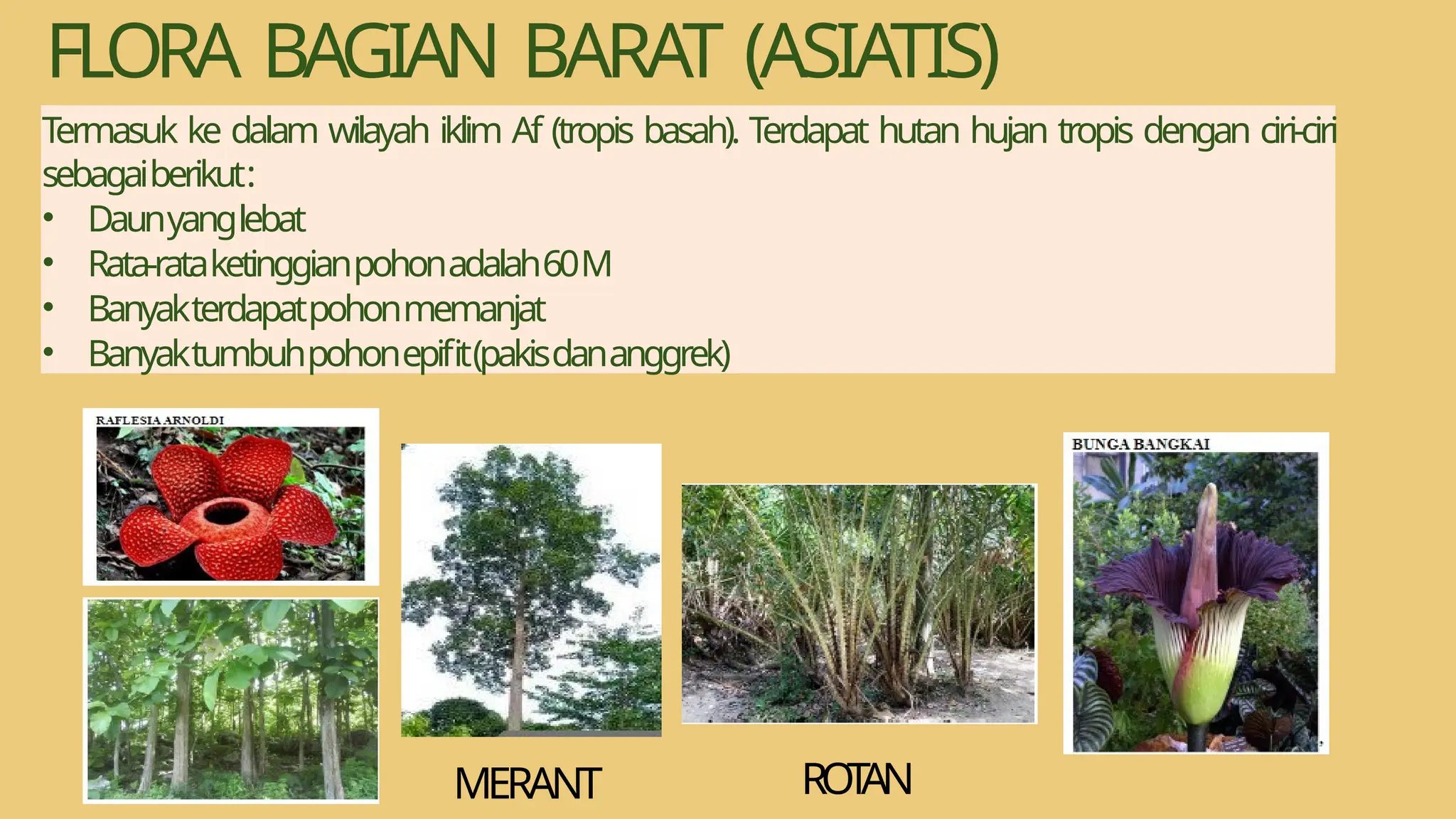 PPT Persebaran Flora dan Fauna Indo.pptx