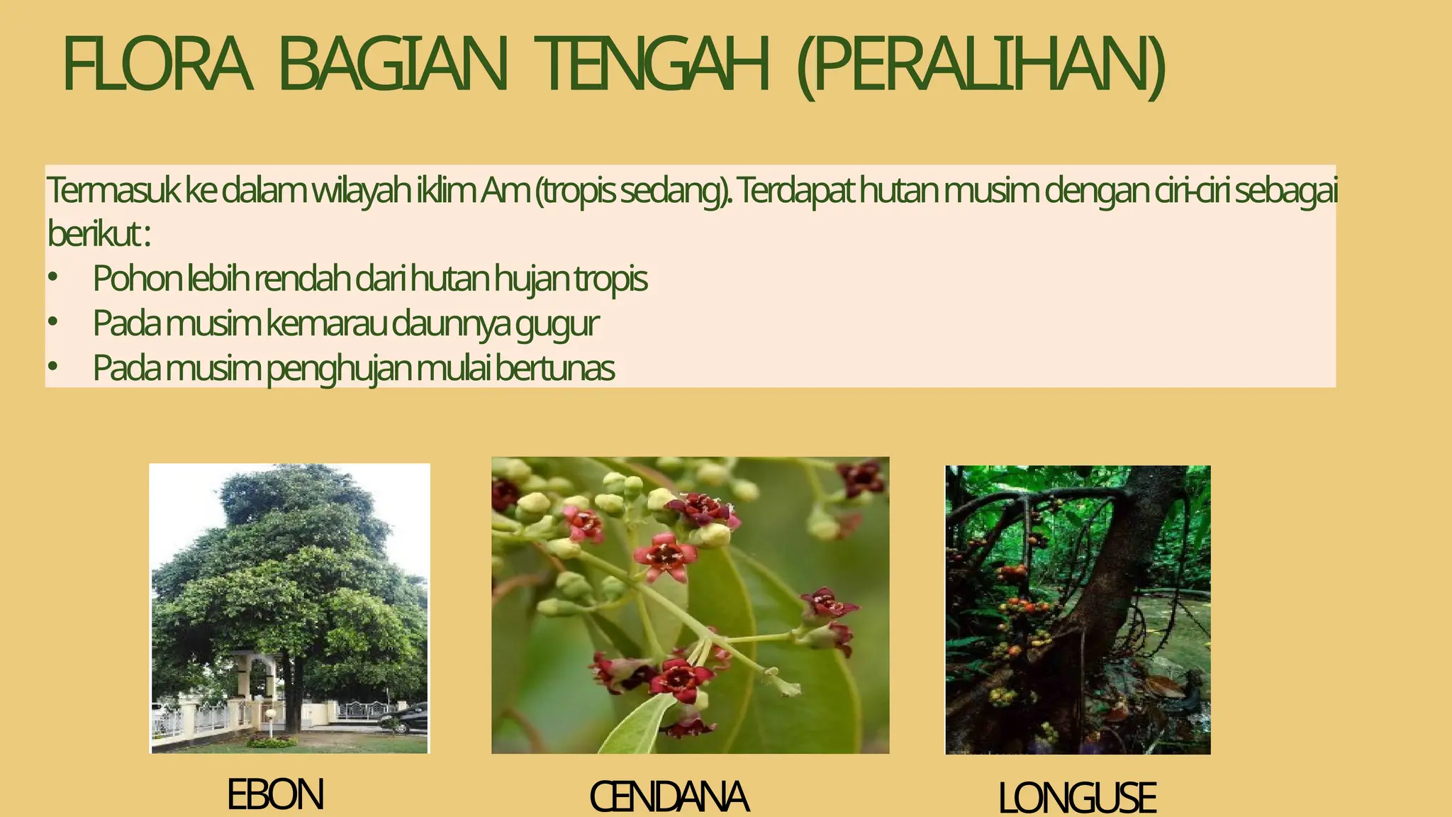 PPT Persebaran Flora dan Fauna Indo.pptx