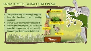 PPT Persebaran Flora dan Fauna Indo.pptx