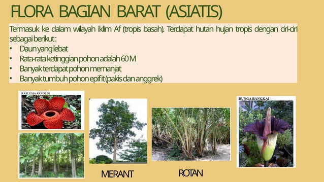 PPT Persebaran Flora dan Fauna Indo.pptx