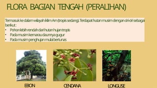 PPT Persebaran Flora dan Fauna Indo.pptx