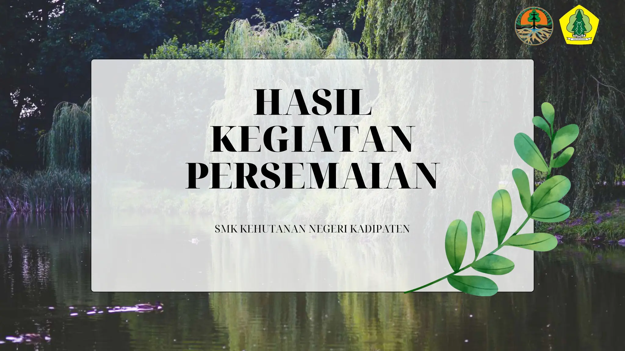 presentasi persemaian permanen rumpin kelas XI A | PPT