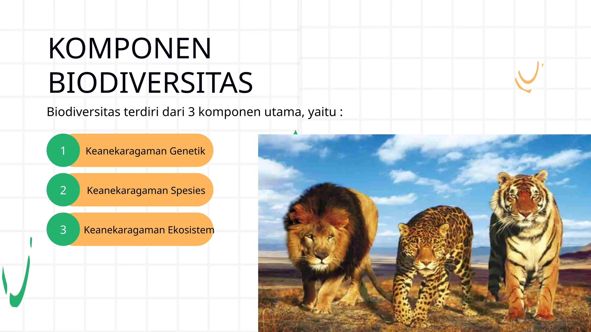 PPT Perspektif Biodiversitas_Helvi Maudy Saswita.pptx
