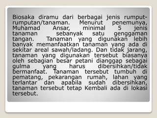 PERTANIAN RAMAH LINGKUNGAN MENUJU PERTANIAN BERKELANJUTAN.pptx
