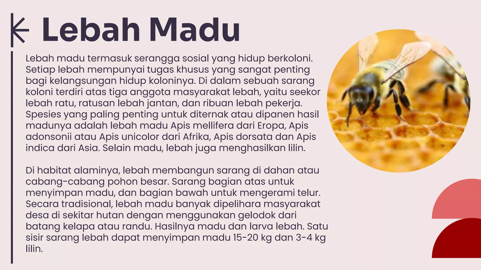 PPT PERTEMUAN 1.pptx