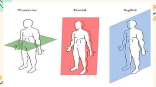 Arah Bidang Anatomi Fisiologi_PPT Pertemuan Pertama | PPTX