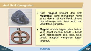 PPT Pertemuan 1 PPEMANFAATAN MEDAN MAGNET PADA MIGRASI HEWAN.pdf