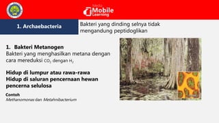 Ppt pertemuan 2 (cara hidup, pertahanan, reproduksi, klasifikasi ...
