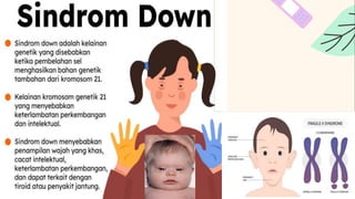 Eva Zuli Oktavia,S.Tr.Keb., M.Tr.Keb_Pertemuan Komplikasi Persalinan_ppt pertemuan 5.pptx