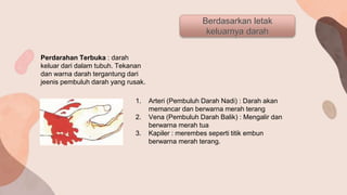 PPT Pertolongan Luka dan Perdarahan.pptx