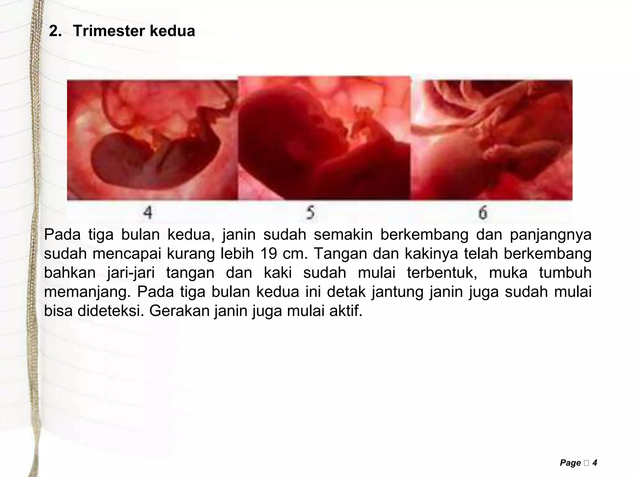 PPT Pertumbuhan dan perkembangan.pptx