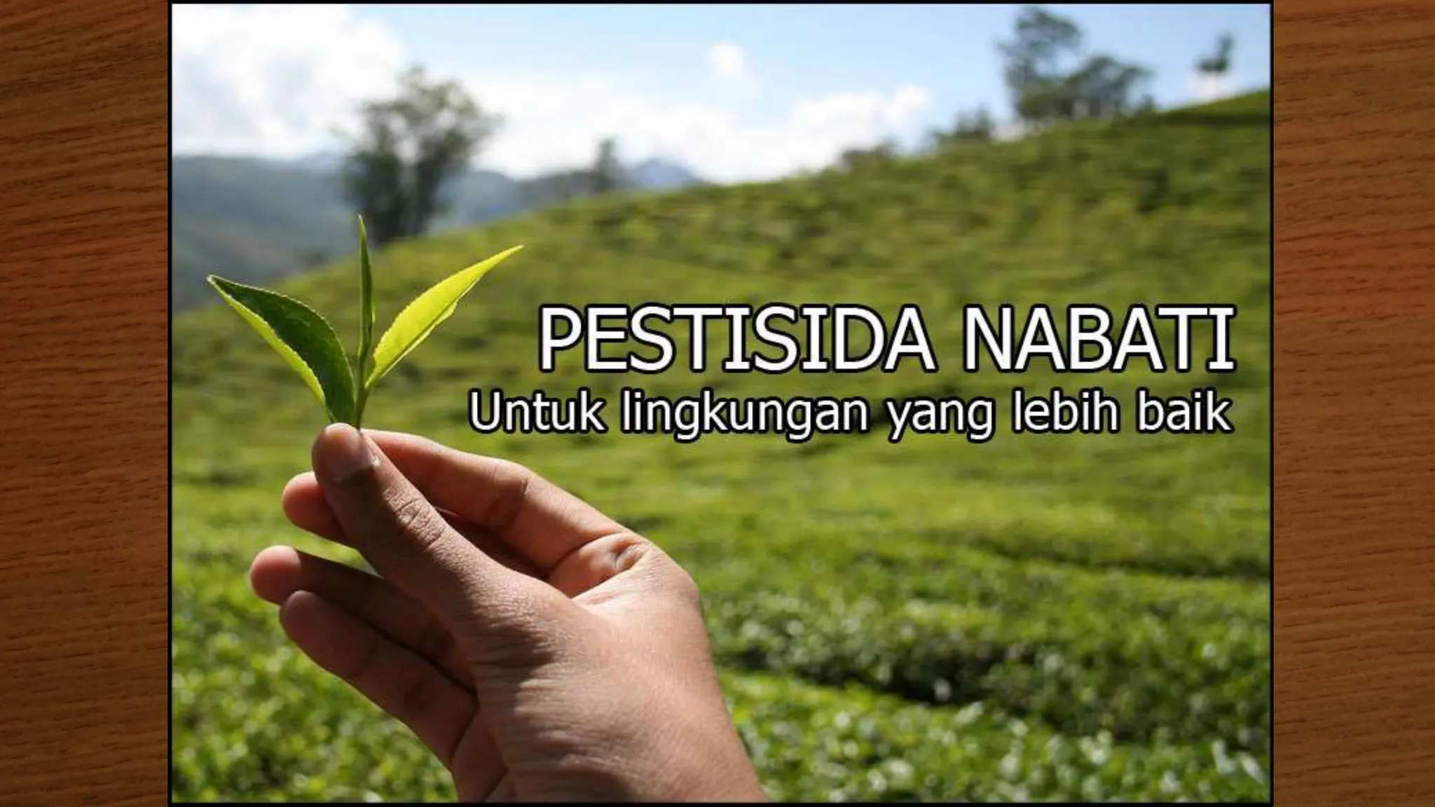 pelatihan pembuatan pestisida nabati yang aman bagi lingkungan | PPTX