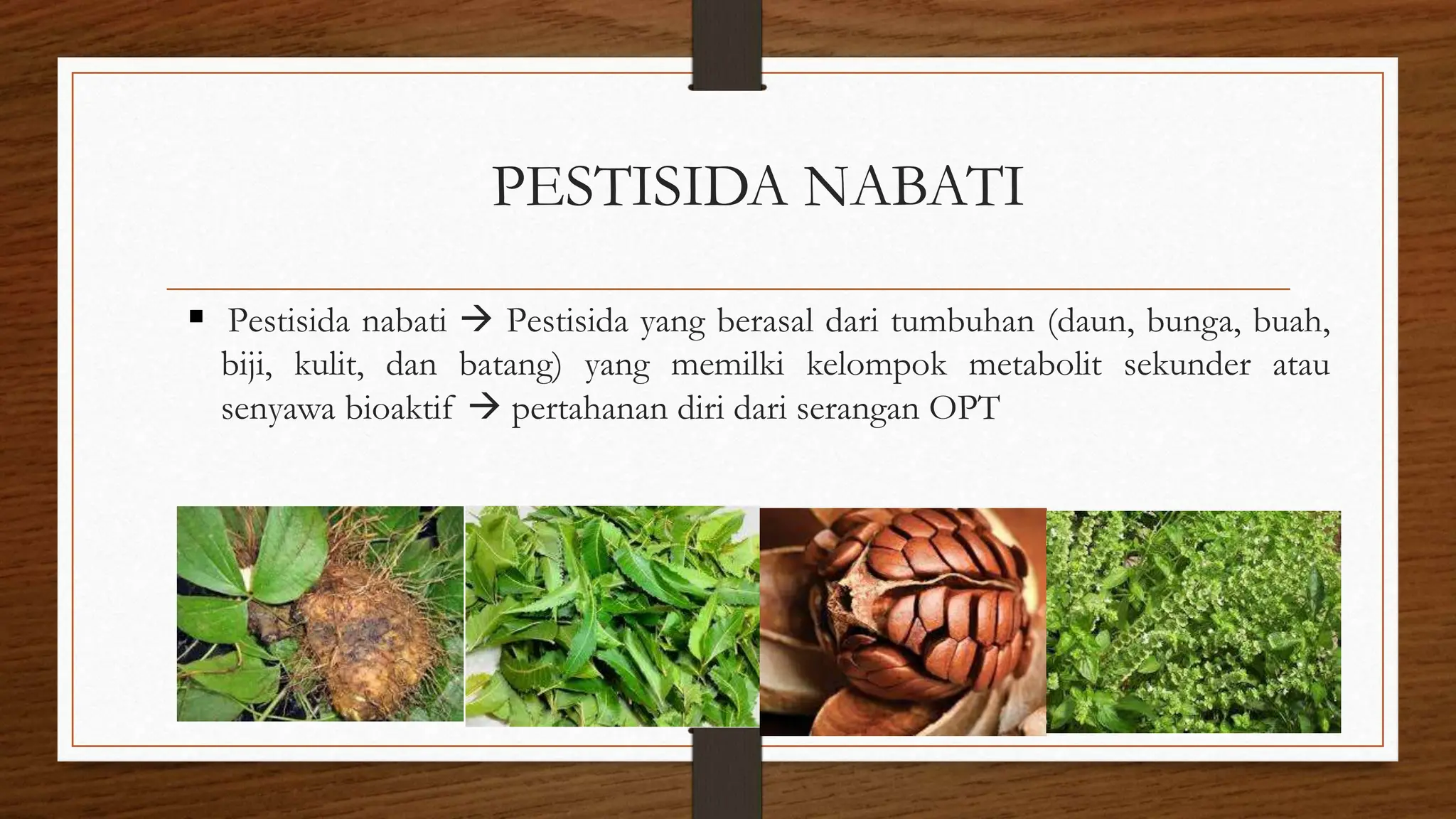 pelatihan pembuatan pestisida nabati yang aman bagi lingkungan | PPTX