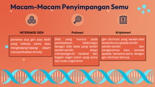 PPT PEWARISAN SIFAT HENITA SILMI KHAVATA.pptx