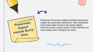 ppt pewarnaan kapsul.pptx