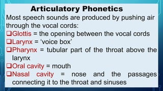 PPT PHONETICS(Place of Articulation).pptx