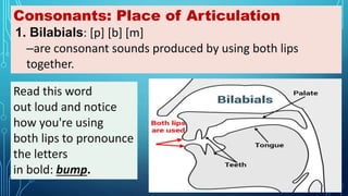 PPT PHONETICS(Place of Articulation).pptx