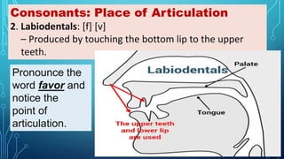 PPT PHONETICS(Place of Articulation).pptx