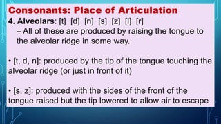 PPT PHONETICS(Place of Articulation).pptx