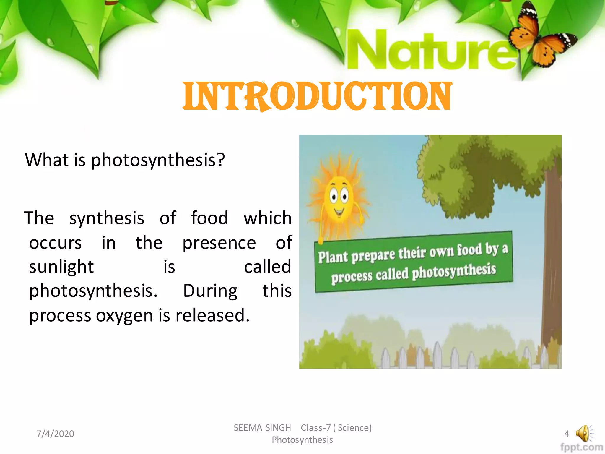 PPT Photosynthesis.pdf | Free Download