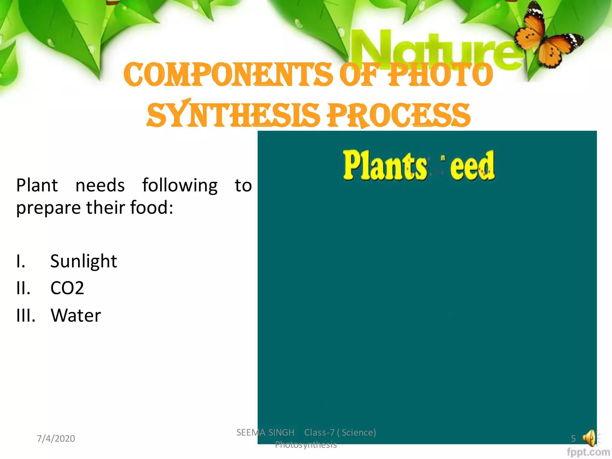 PPT Photosynthesis.pdf
