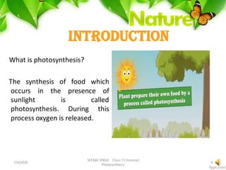 PPT Photosynthesis.pdf