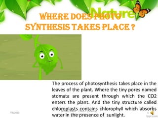 PPT Photosynthesis.pdf