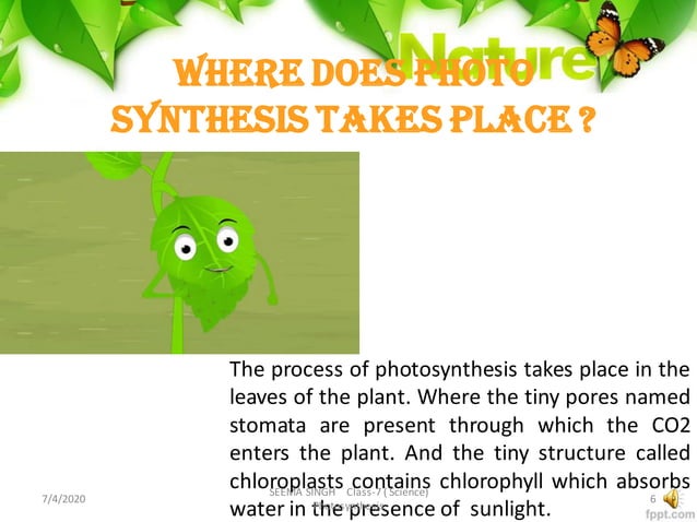 PPT Photosynthesis.pdf