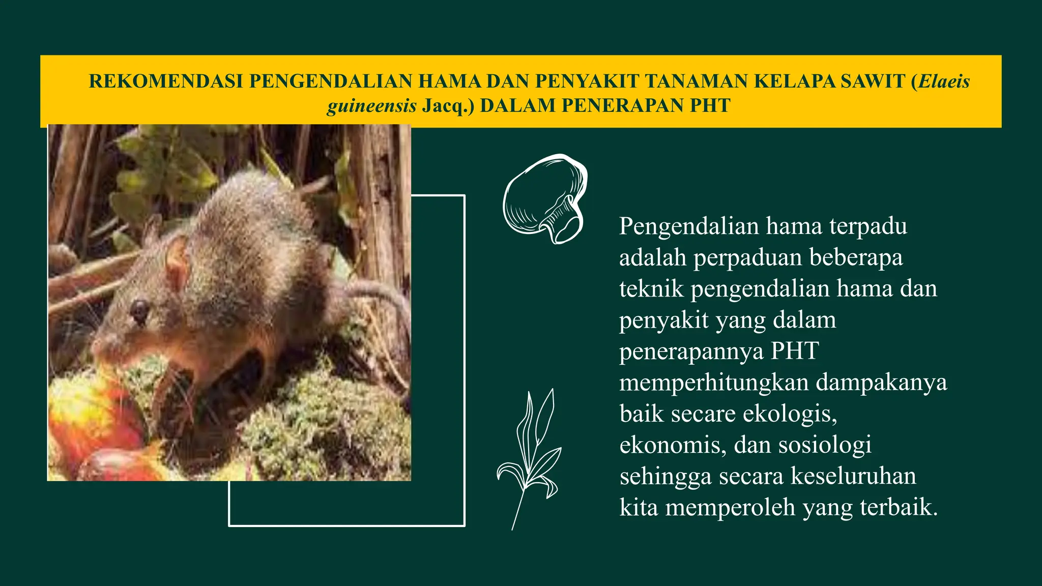 PPT PENGENDALIAN HAMA DAN PENYAKIT KELAPA SAWIT | PPTX