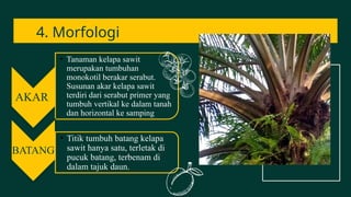 PPT PENGENDALIAN HAMA DAN PENYAKIT KELAPA SAWIT | PPTX