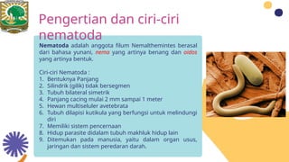 PPT Phylum Nematoda_Helvi Maudy Saswita.pptx