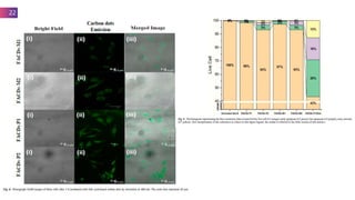 PPT Physic Talk IPB 2021.pptx