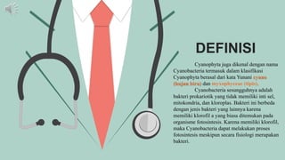 ppt phytoplankton Cyanophyta | PPTX