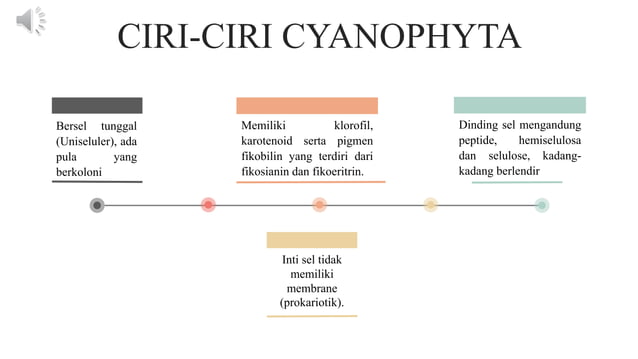 ppt phytoplankton Cyanophyta | PPT