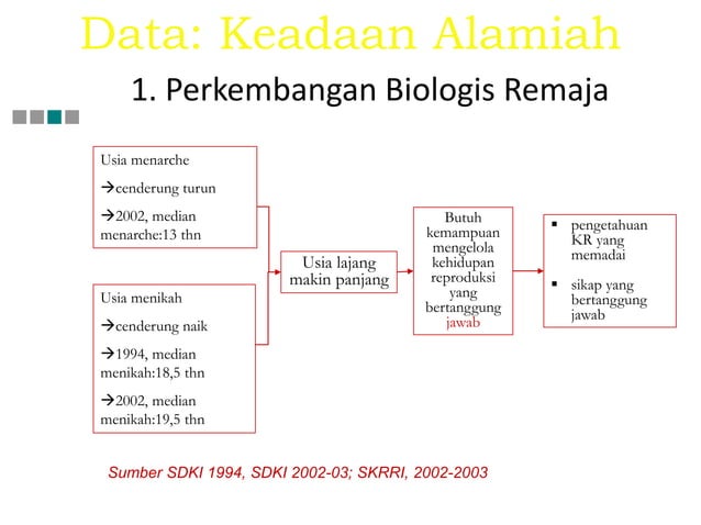 Ppt pik remaja | PDF