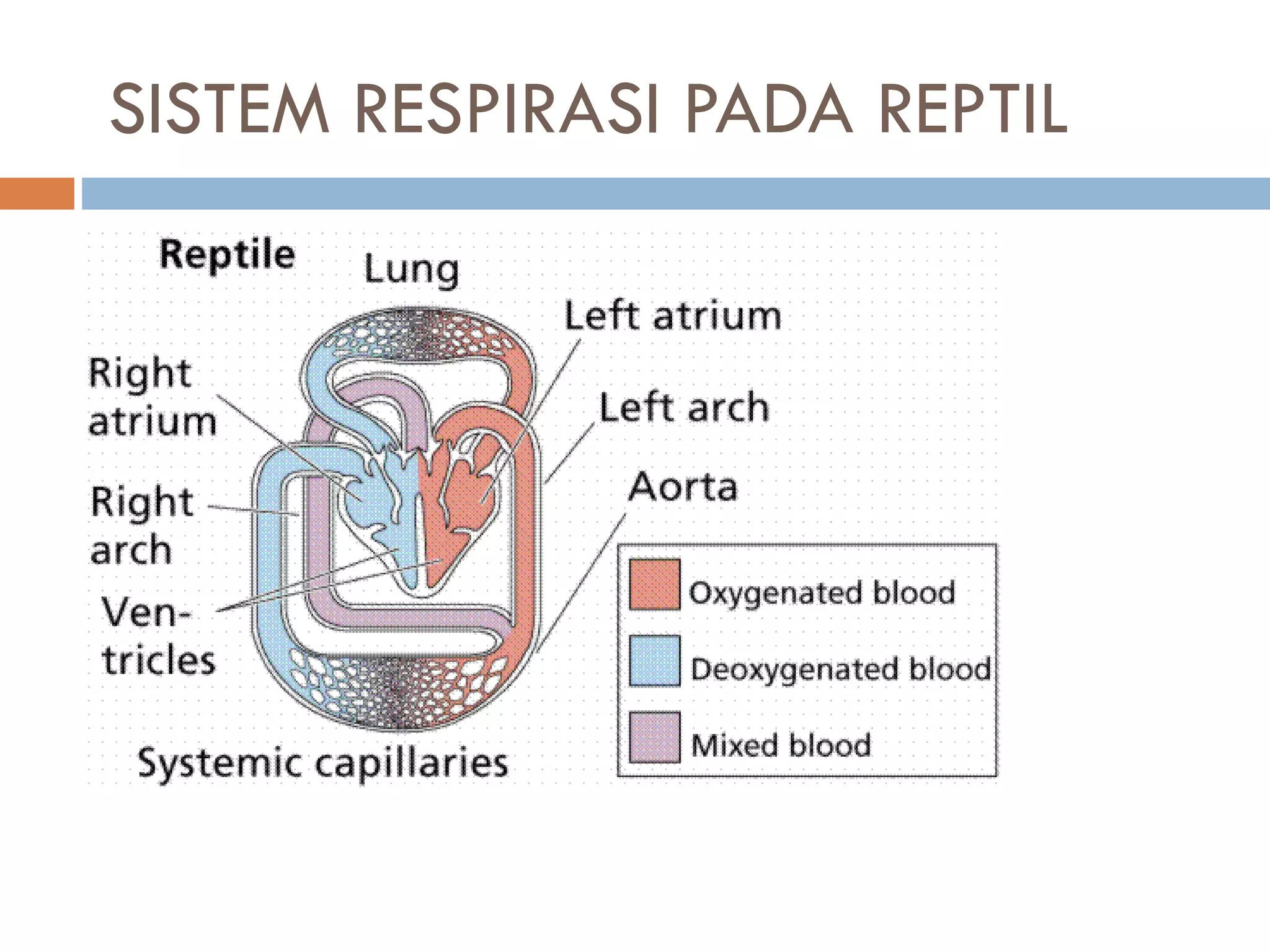 Ppt pik sistem peredaran | PPTX