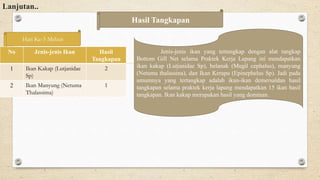 PPT PKL di kenjeran jaring jermal | PPTX