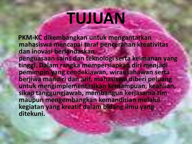 Ppt pkmkc | PPT