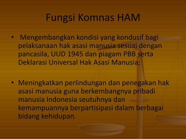 Hak Asasi Manusia (HAM) dan Rule Of Law | PPTX
