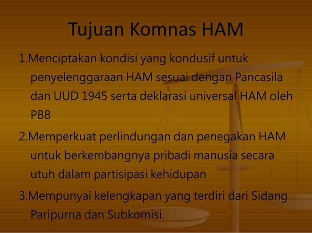 Hak Asasi Manusia (HAM) dan Rule Of Law | PPTX