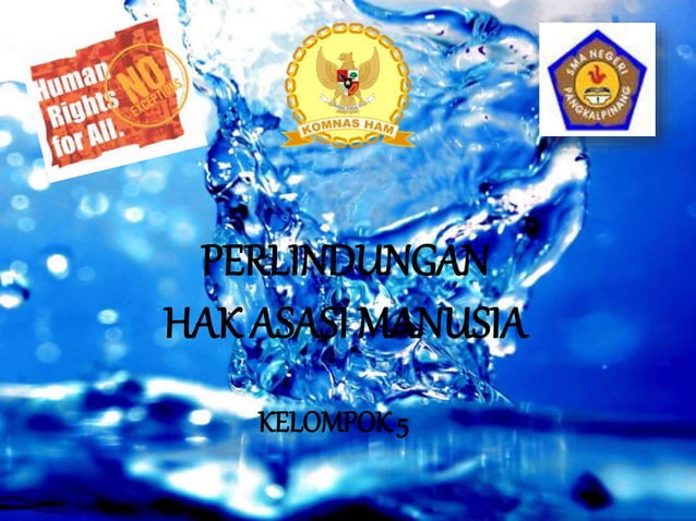 PERLINDUNGAN HAK ASASI MANUSIA | PPTX