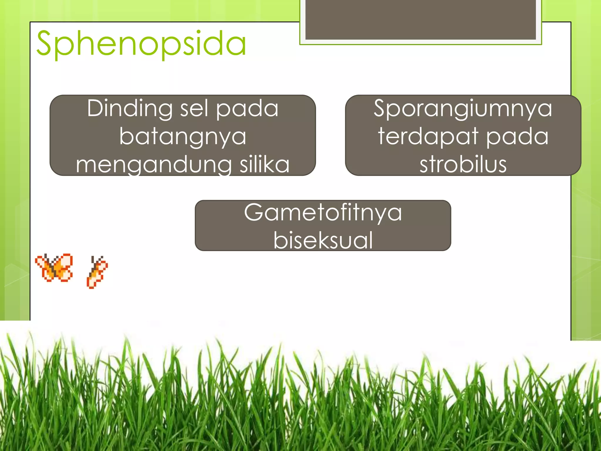 Kingdom plantae dan klasifikasinya | PPTX