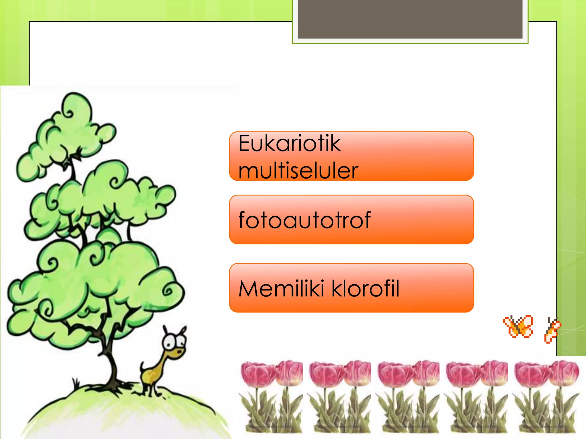 Kingdom plantae dan klasifikasinya | PPTX