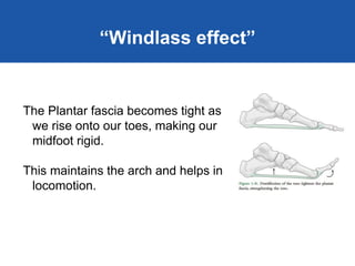 Plantar Fasciitis | PDF