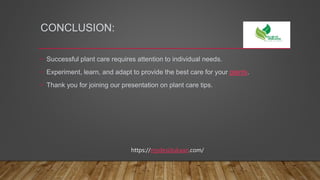 plant Care.pptx