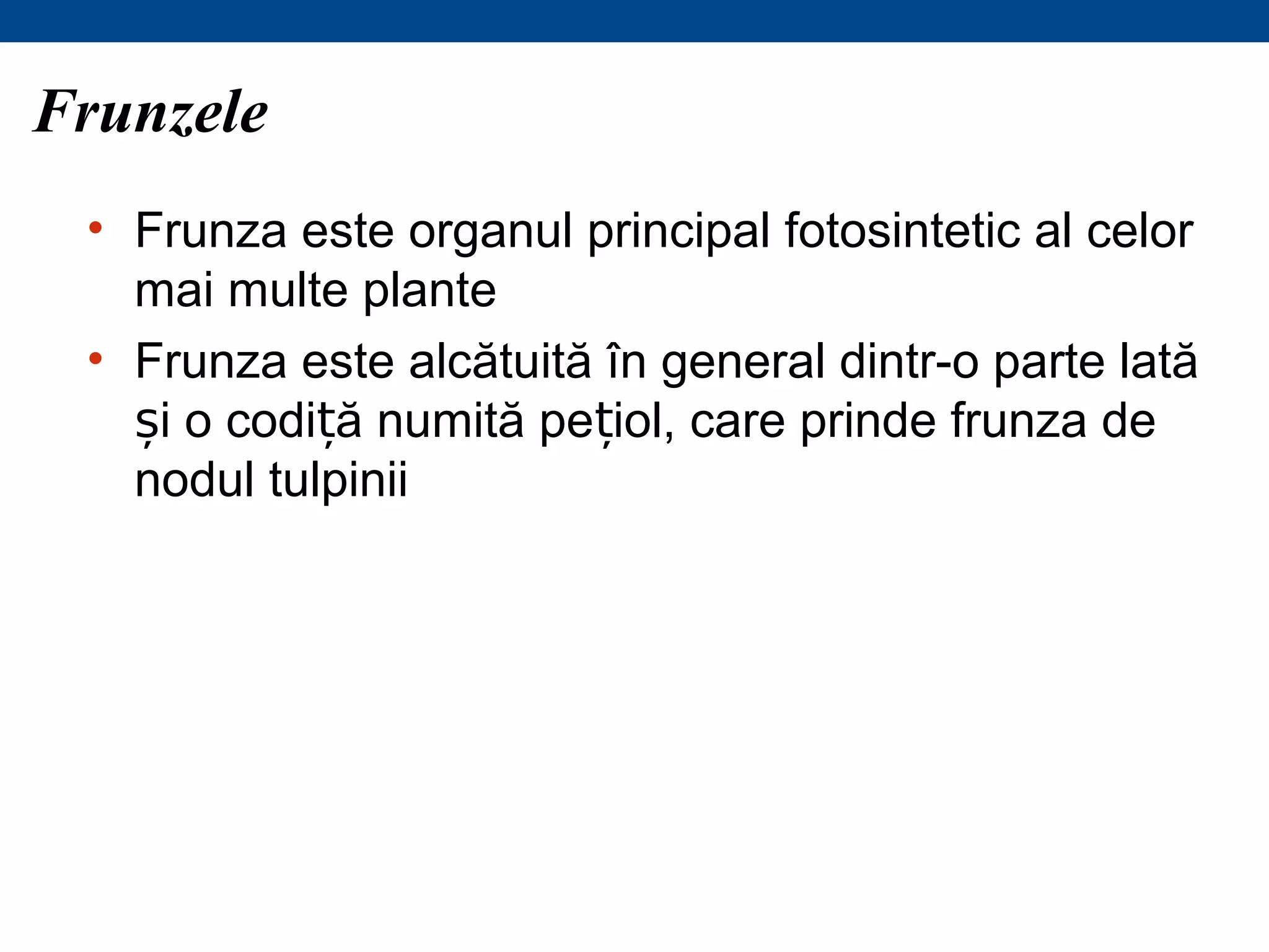 Ppt plante | PPT