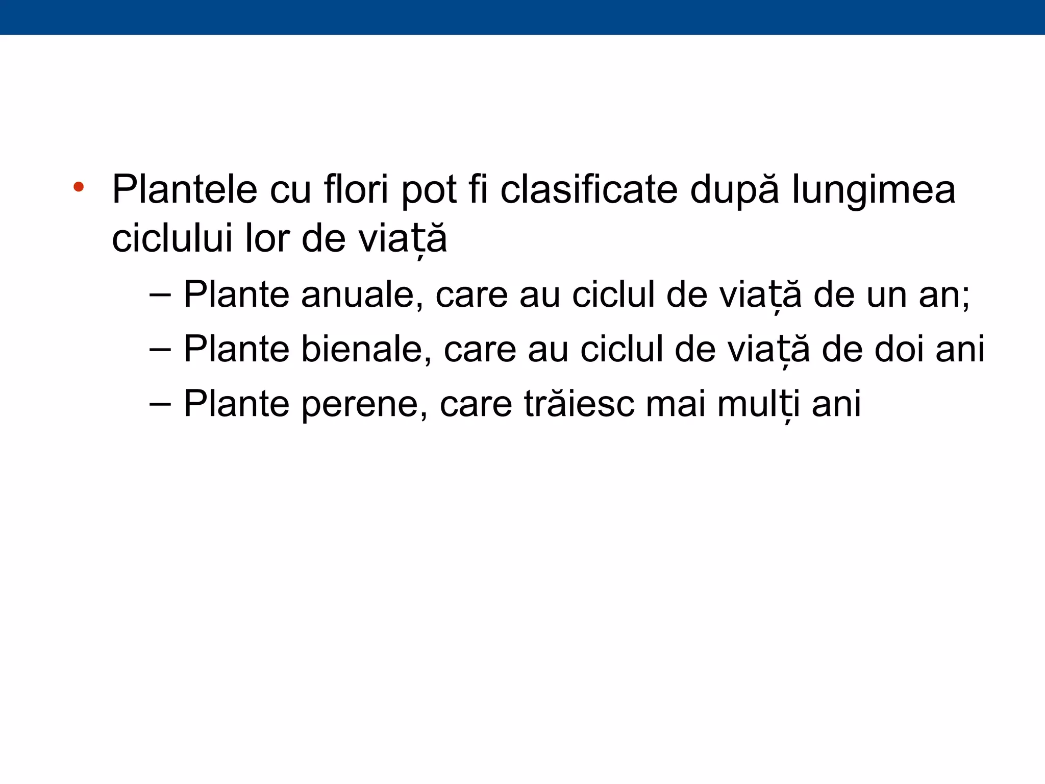 Ppt plante | PPT