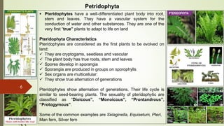 PPT PLANT KINGDOM IX - ARYAN NANDA.pdf